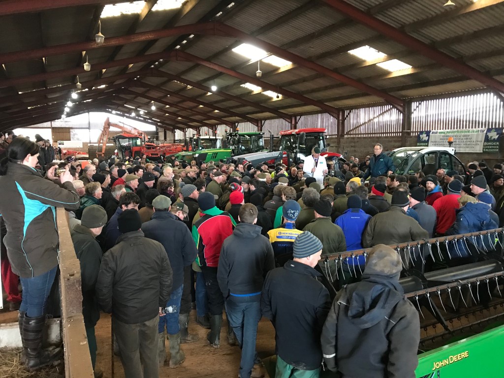 Farm/Online Sale Reports | Border Livestock Exchange